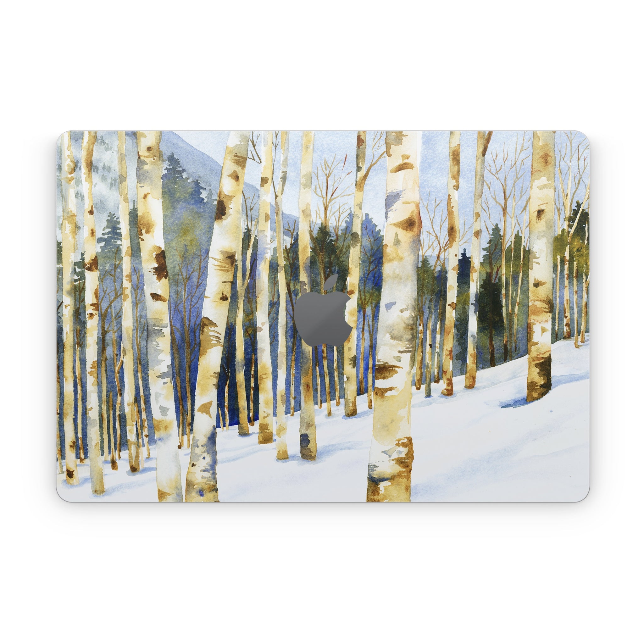 Winter Solstice - Apple MacBook Skin